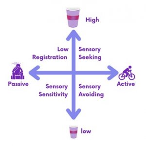 Sensory processing explained: A deep dive into Dunn's Model