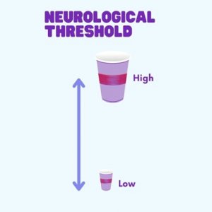 Sensory processing explained: A deep dive into Dunn's Model